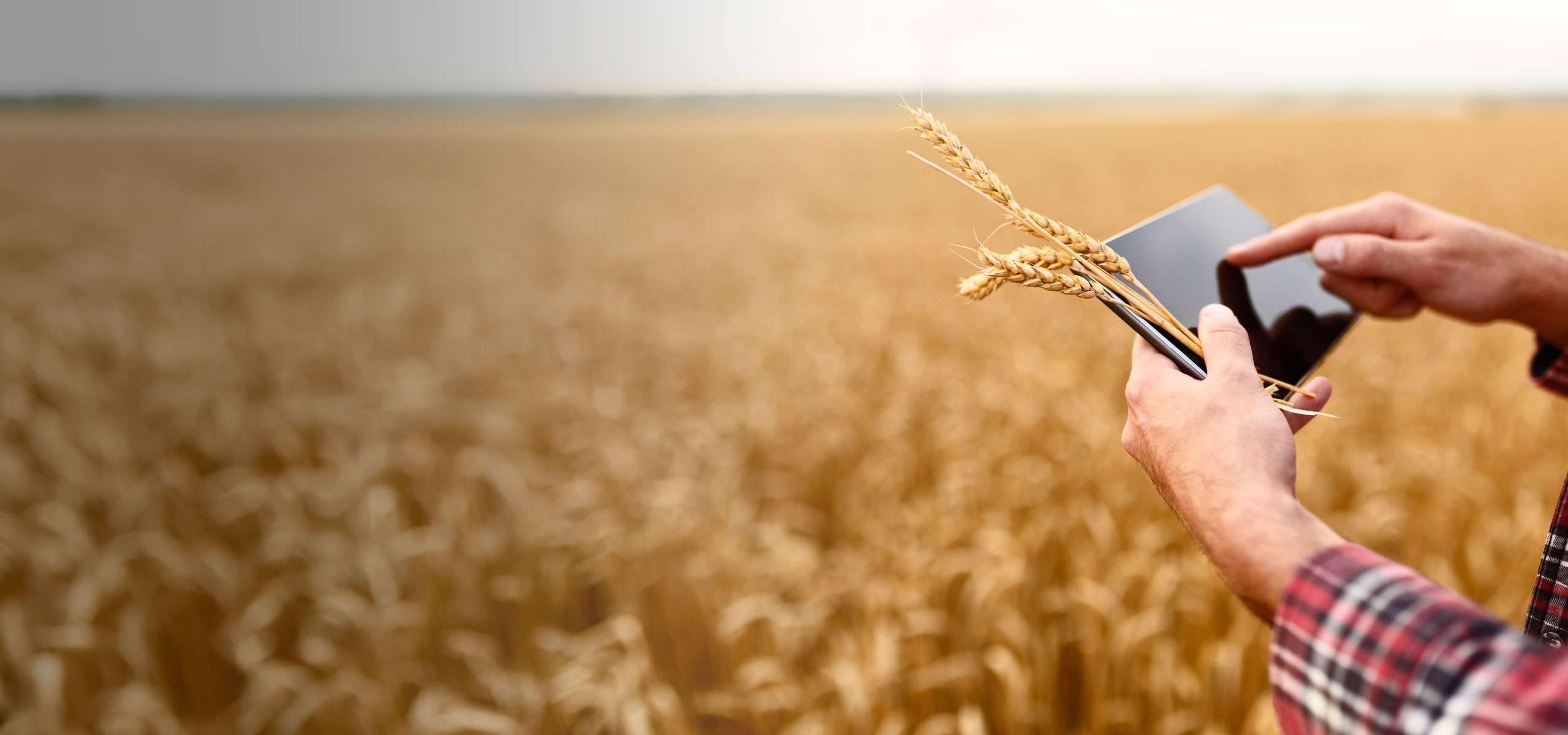 Work Offline with NestForms – No Internet needed